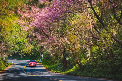 IAM offers tips for stress-free driving in spring